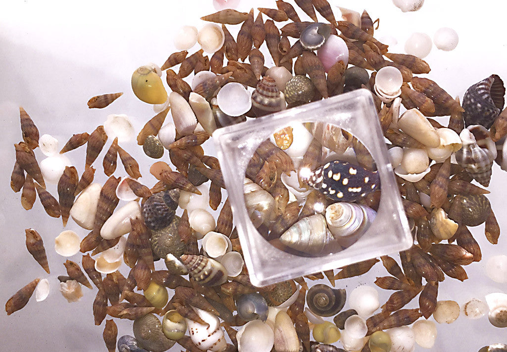 The Private Eye Acrylic Magnifier - Box "A" - The Private Eye Project