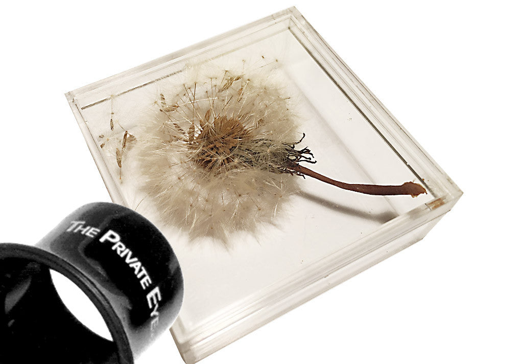 The Private Eye Inquiry Clear Acrylic - Specimen box - The Private Eye ...